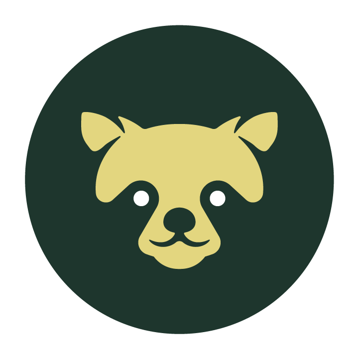 Vignette Coffee Roasters - Greensboro roastery, coffee shop, + classes